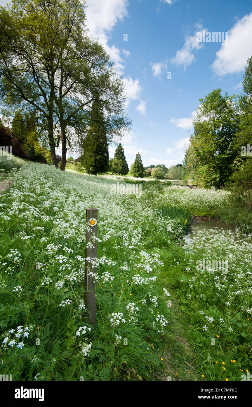 Spring cotswolds english landscape hi-res stock photography and images ...