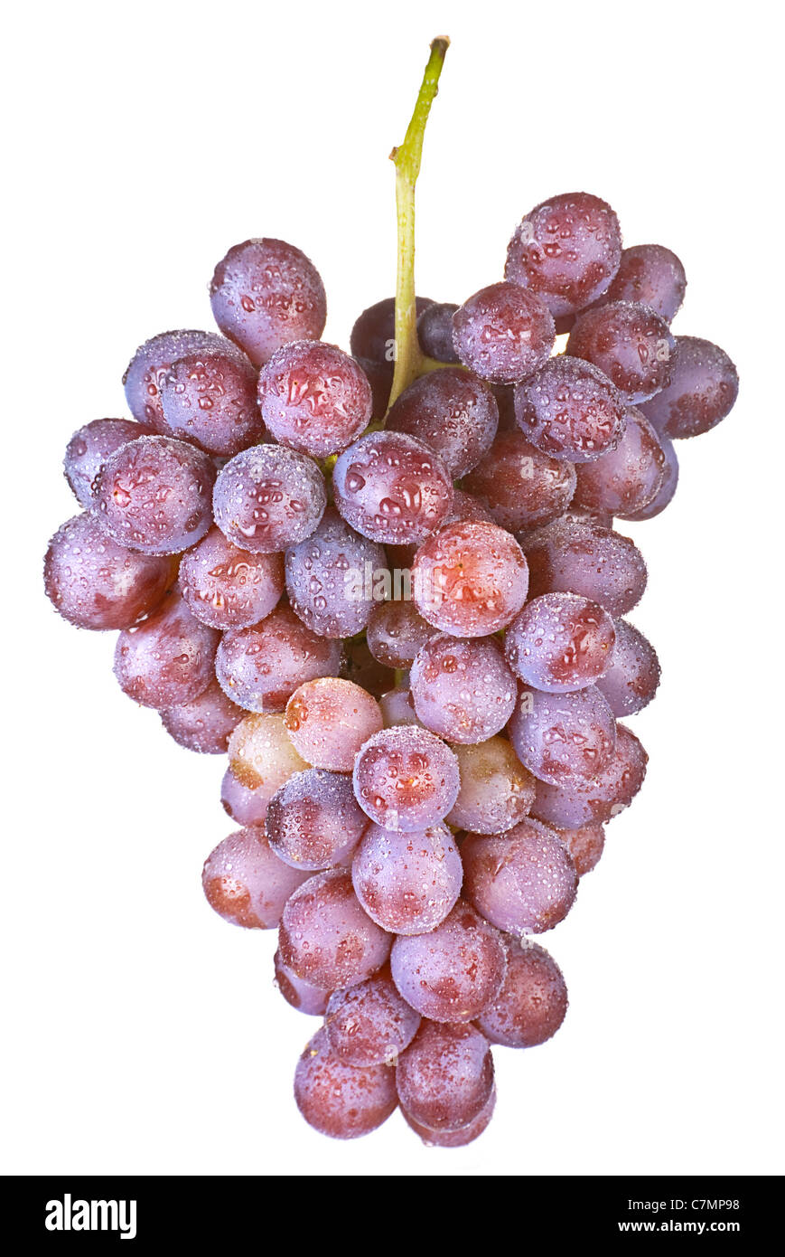 Fresh purple grape fruit on white background Stock Photo - Alamy