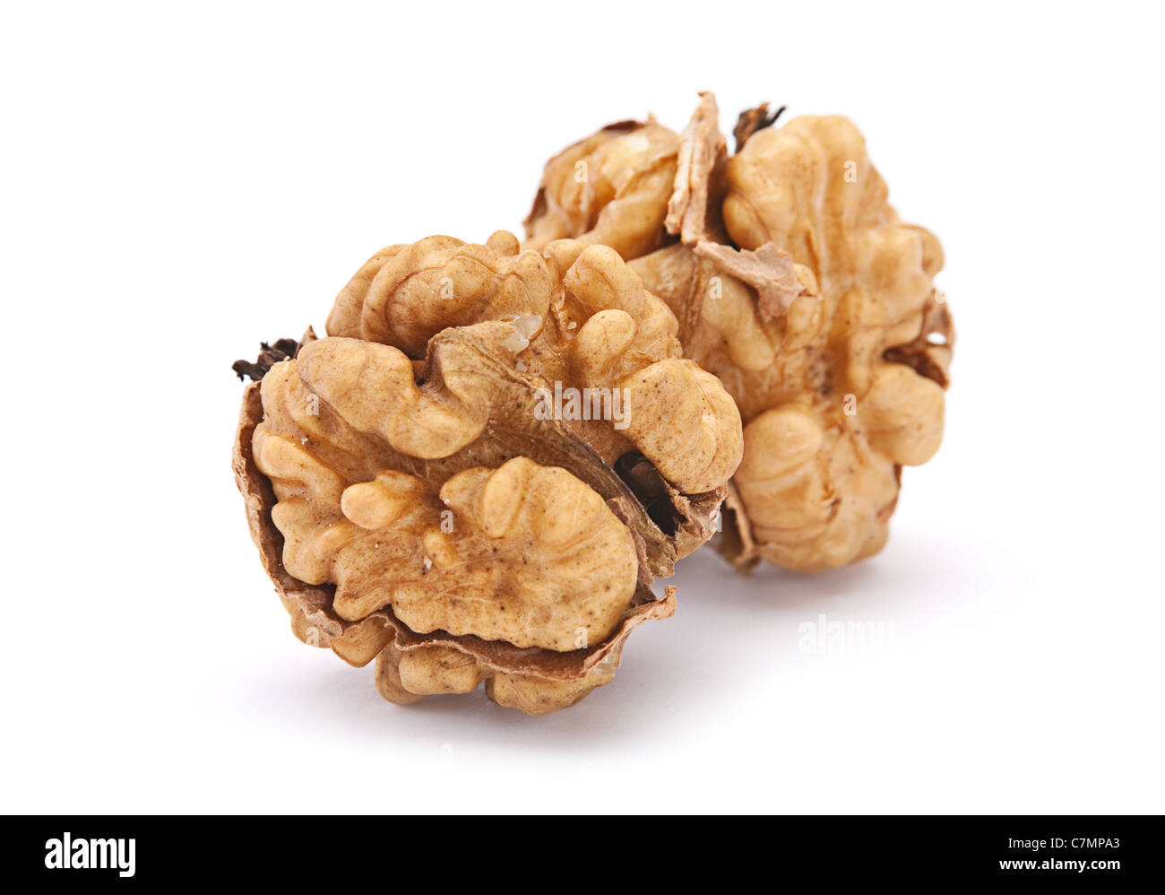 Walnut brown nut closeup isolated on white Stock Photo - Alamy
