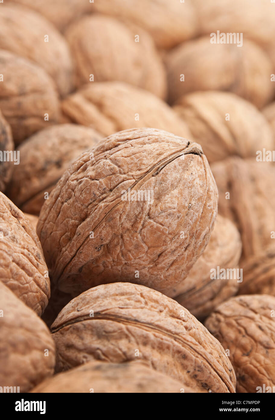Walnut brown nut closeup detail background Stock Photo - Alamy