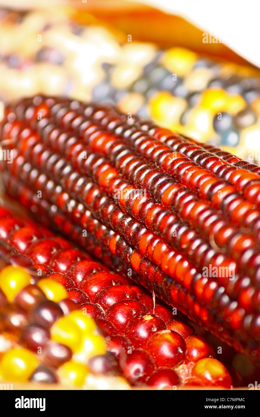 Indian food crop hi-res stock photography and images - Alamy