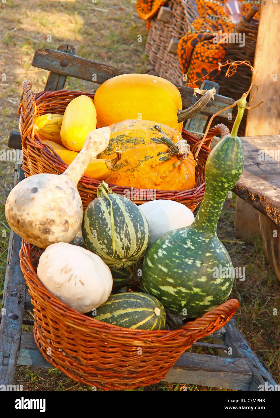 Wicker basket full of decorative gourd Stock Photo - Alamy