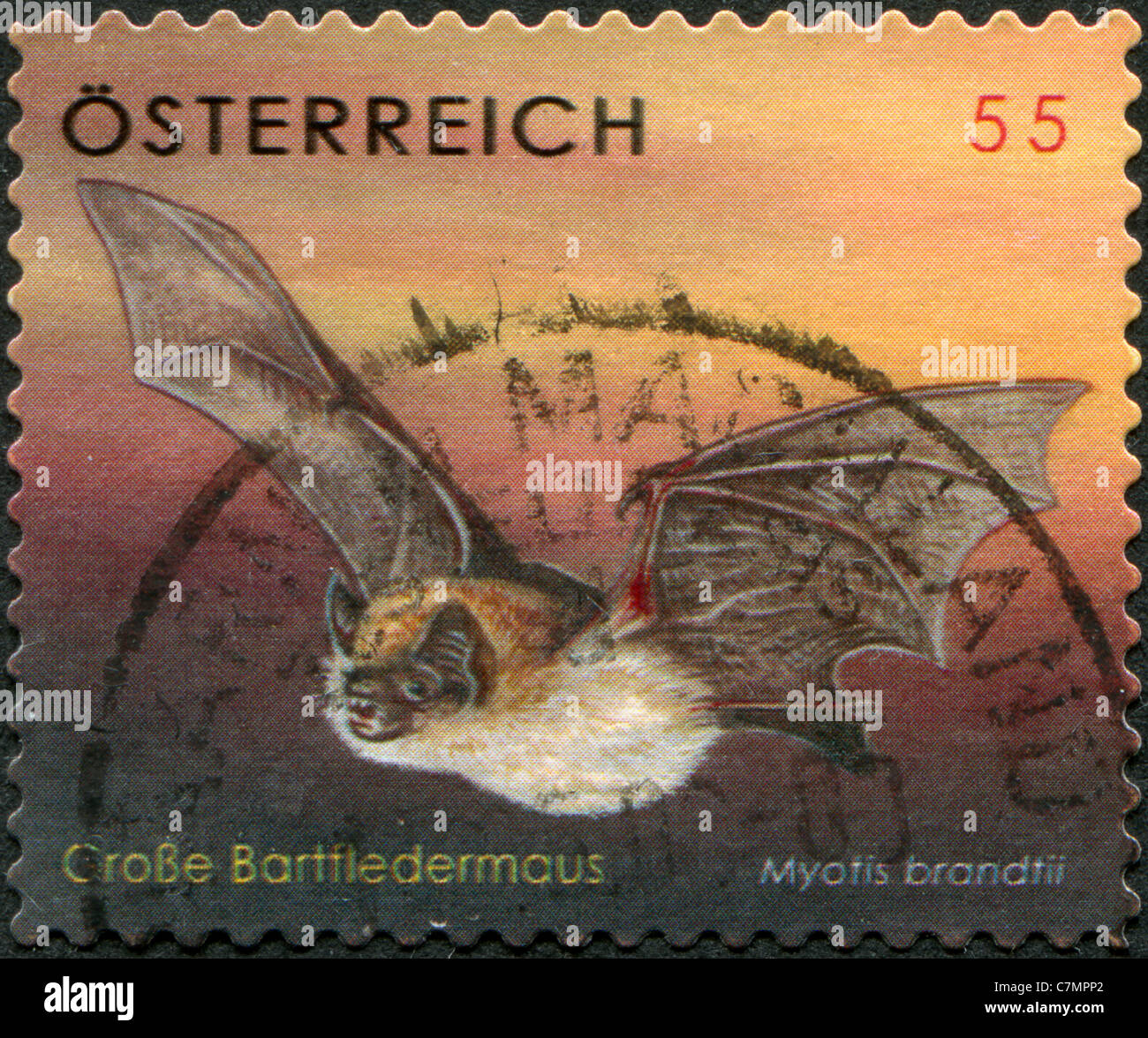 AUSTRIA - 2007: A stamp printed in Austria, shows Brandt's Bat (Myotis ...