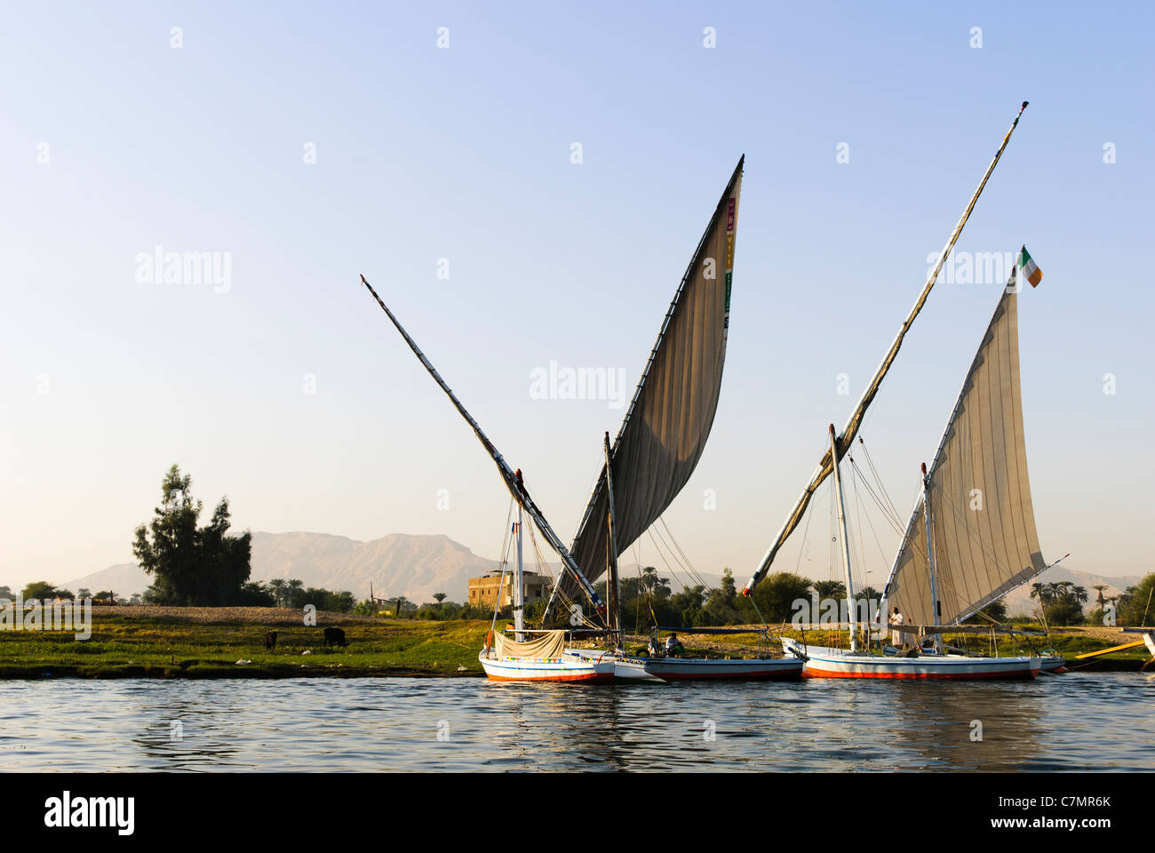 Feluccas on the Nile - Luxor, Upper Egypt Stock Photo - Alamy