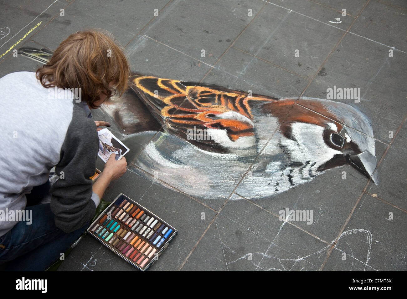 Chalk bird drawings on pavement surfaces, sidewalk chalk art, stencils ...