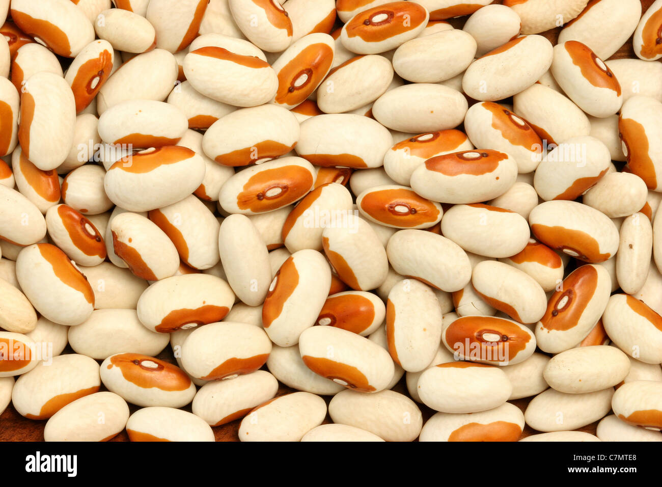 Food aliment beans dry hi-res stock photography and images - Alamy