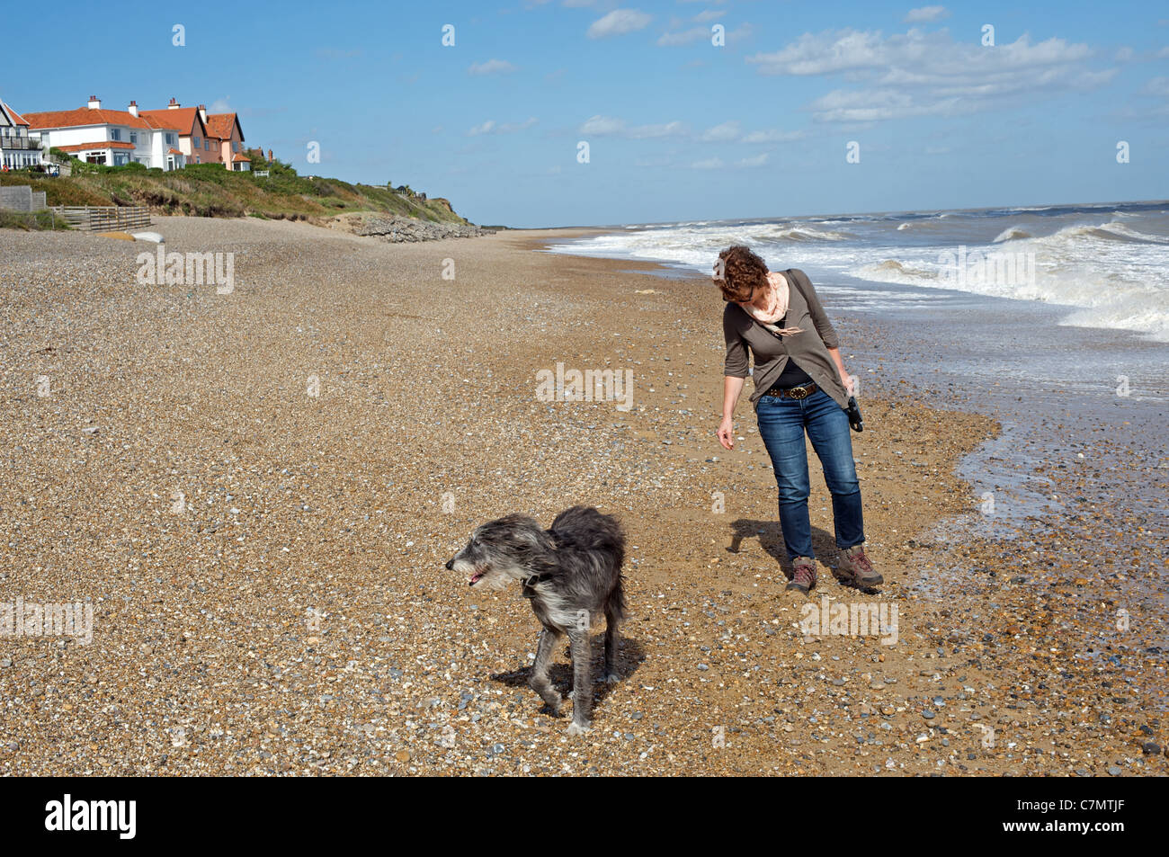Amber coast hi-res stock photography and images - Alamy