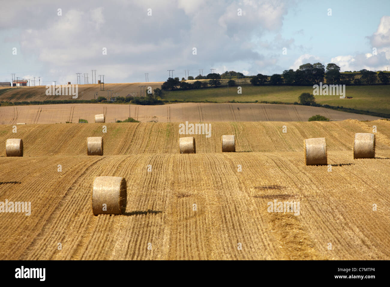 Baled field hi-res stock photography and images - Alamy