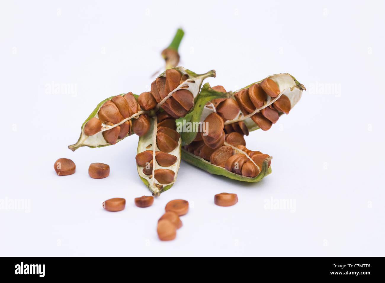 Flower seeds spilling hi-res stock photography and images - Alamy
