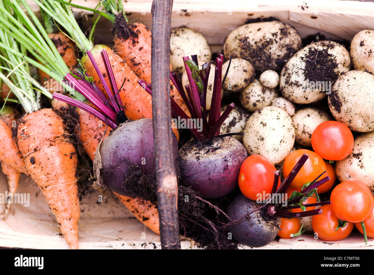 From your own garden hi-res stock photography and images - Alamy