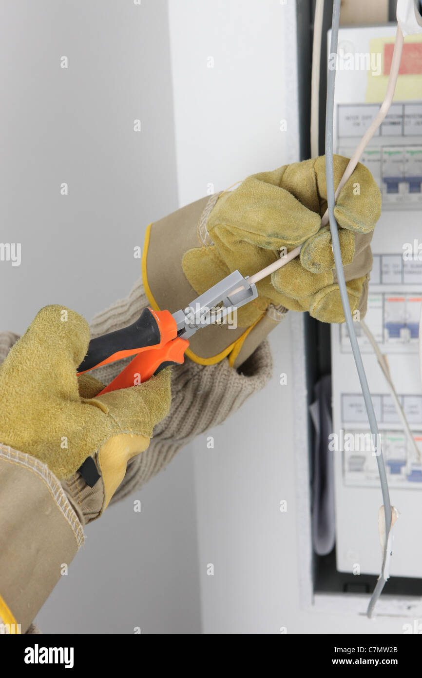 Electrician using wire strippers Stock Photo - Alamy