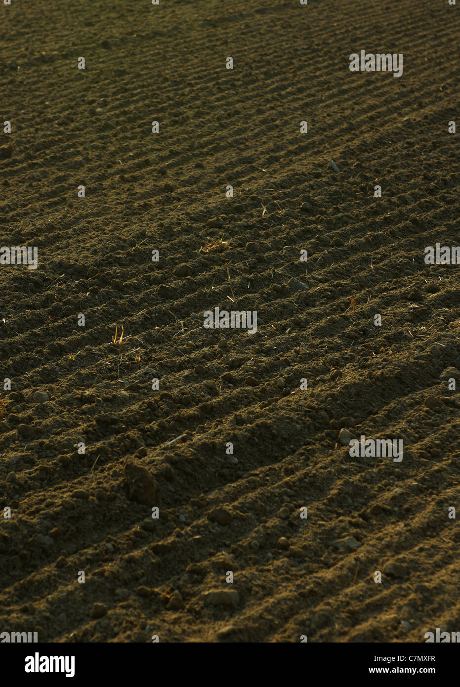 Track of tractor in soil autumn field Stock Photo - Alamy