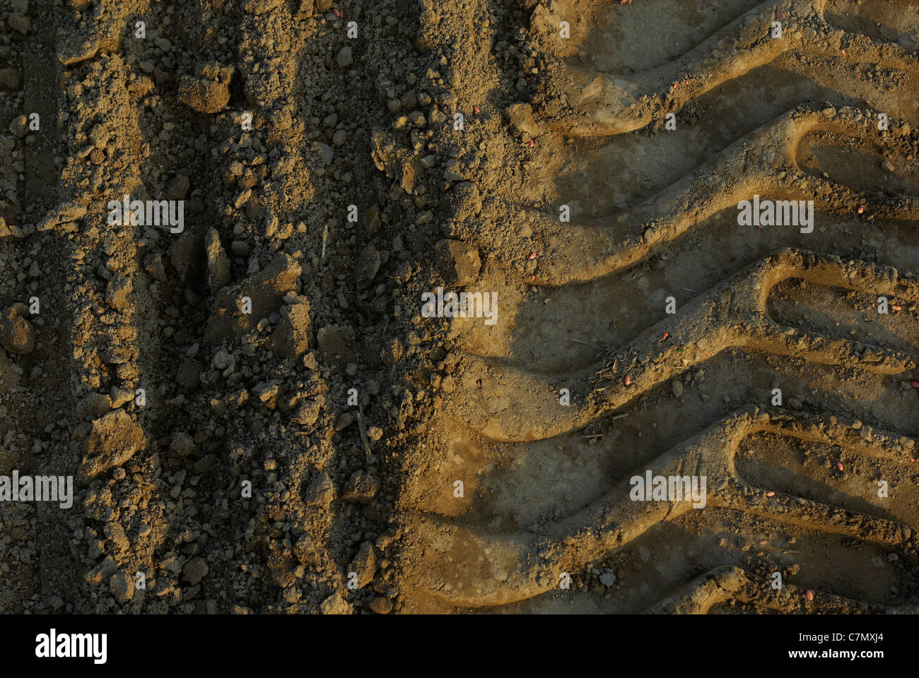 Track of tractor in soil autumn field Stock Photo - Alamy