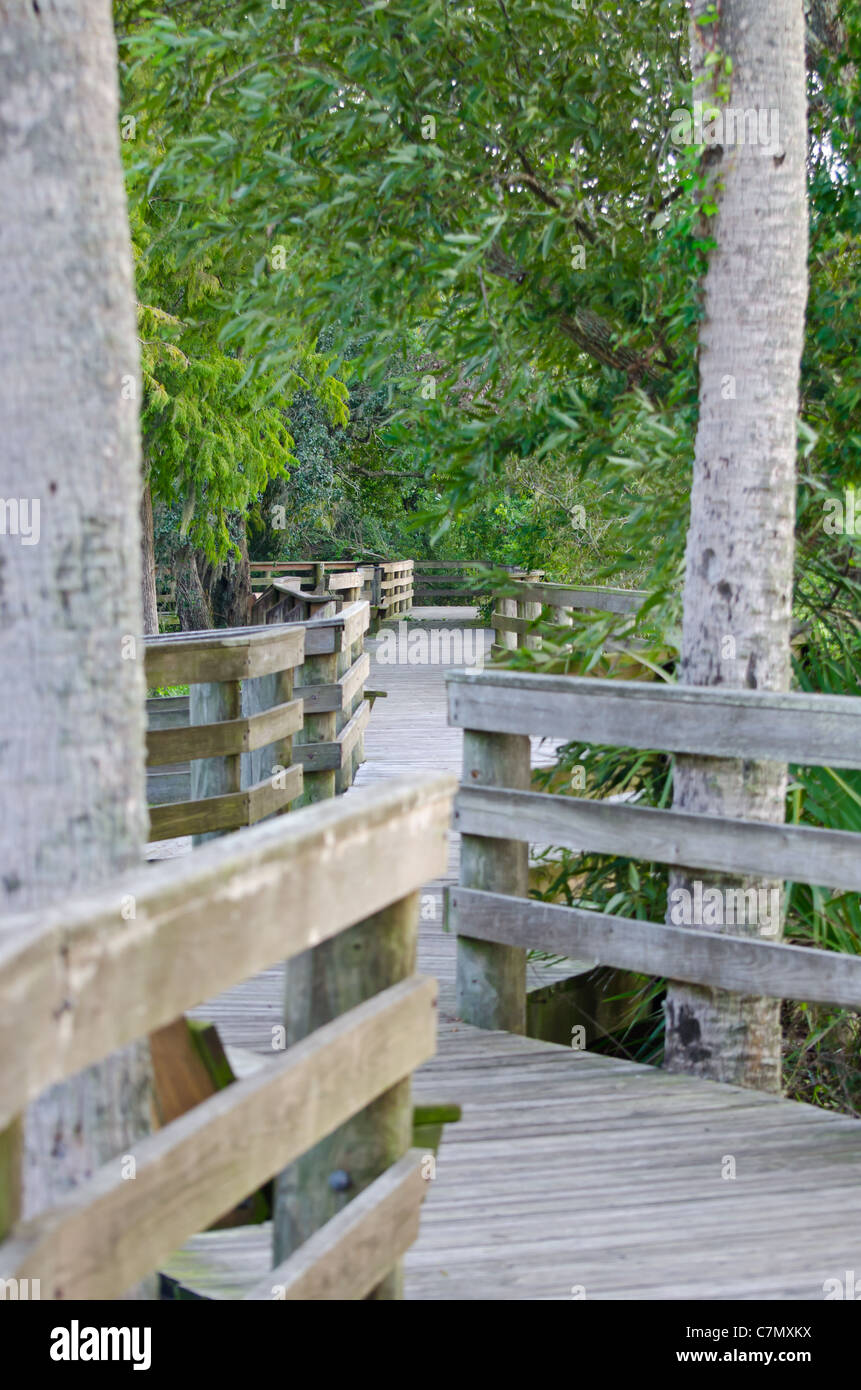 Wooden Walkway through Florida Environment Stock Photo - Alamy