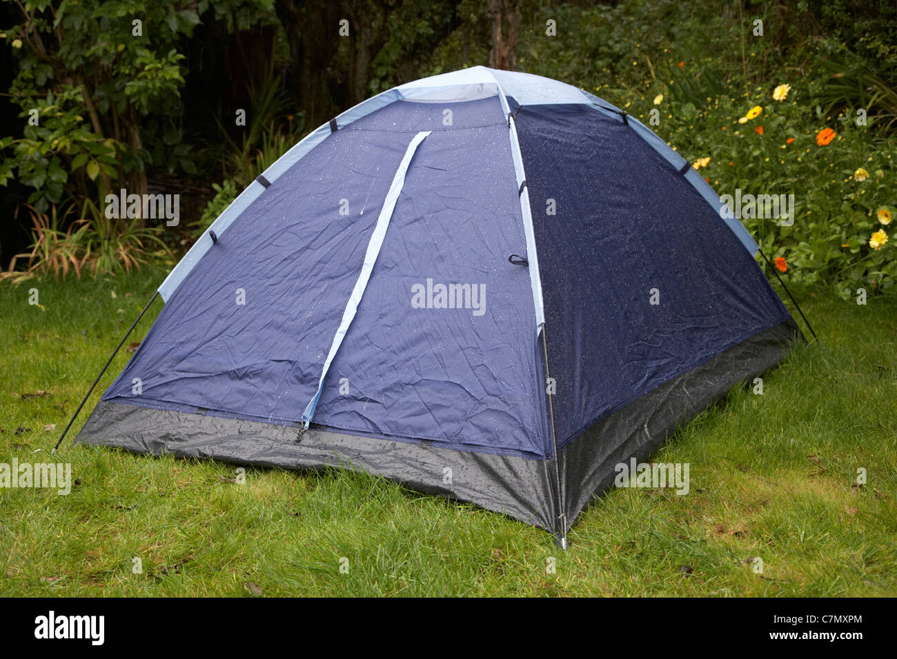 heavy rain falling on a small pitched dome tent Stock Photo - Alamy