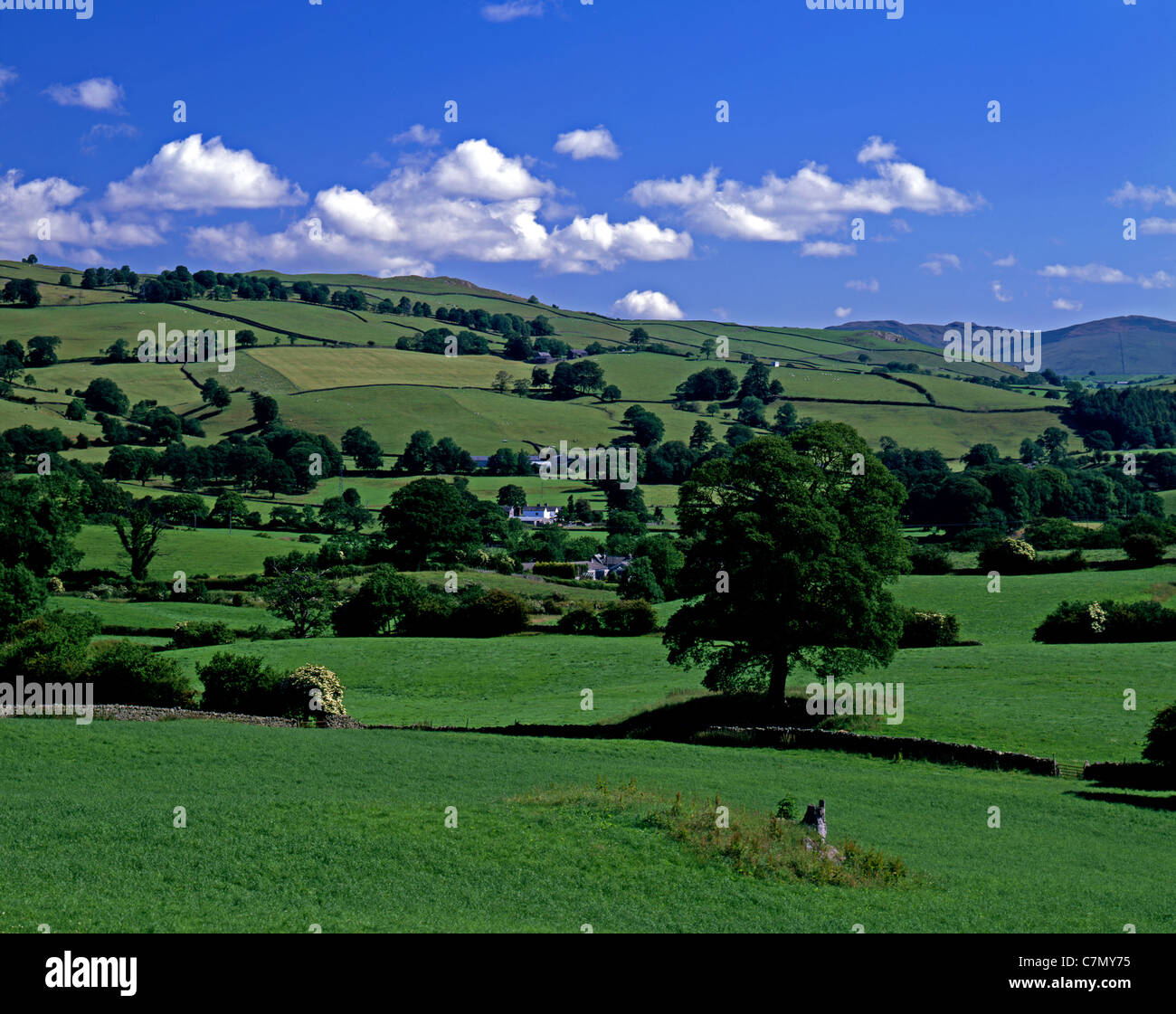 Landscape in the country Stock Photo - Alamy