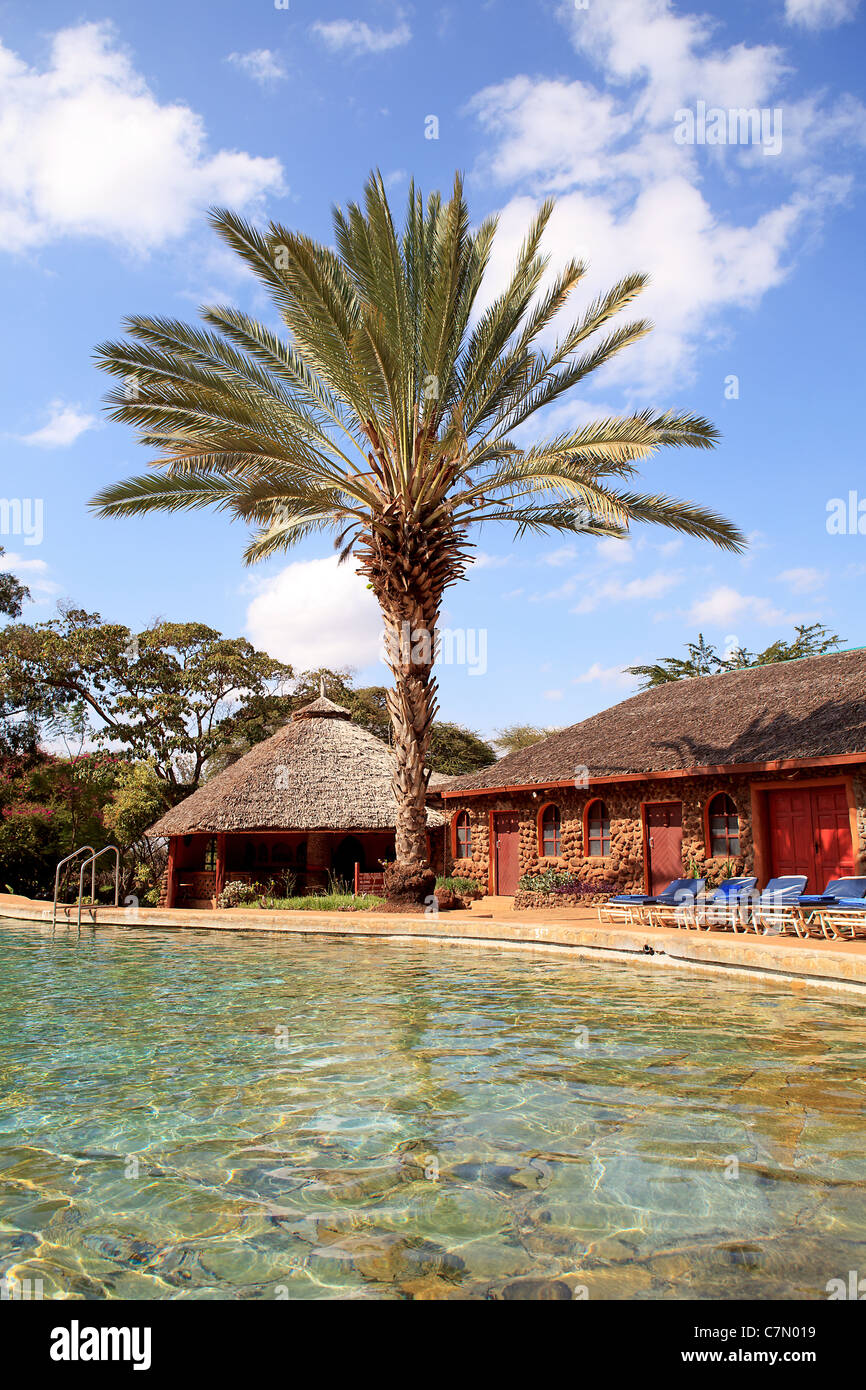 The palm tree pub hi-res stock photography and images - Alamy