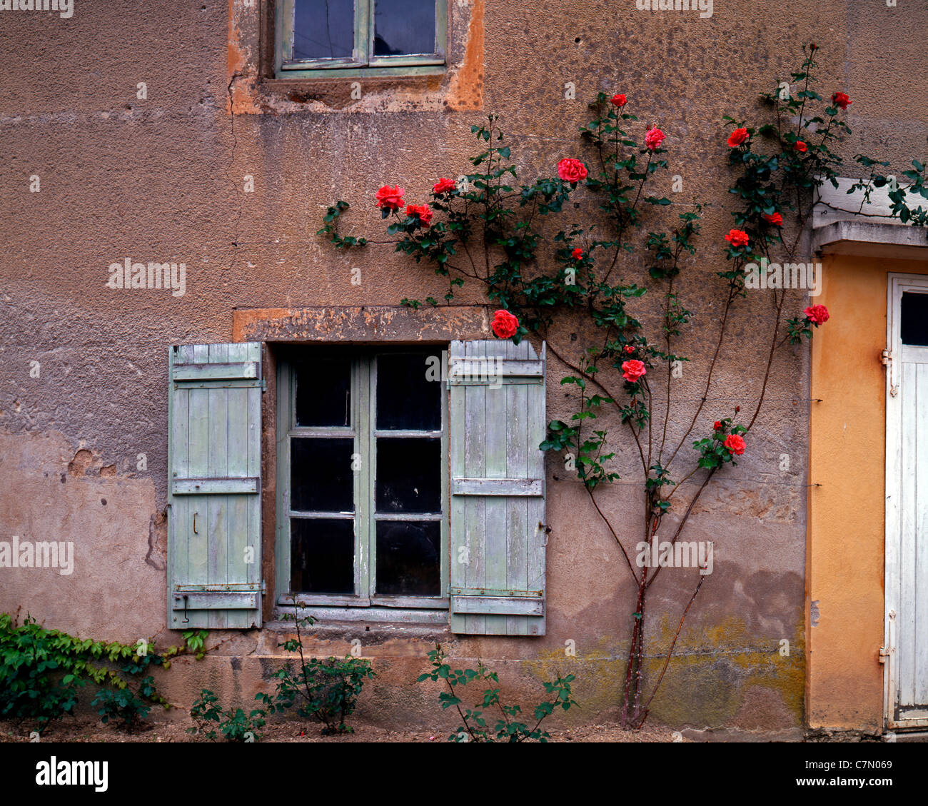 Window Side, Roses, Plant, House,people window Stock Photo - Alamy