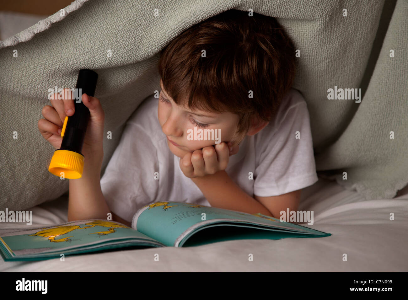 little boy reading with a flashlight under the covers Stock Photo - Alamy