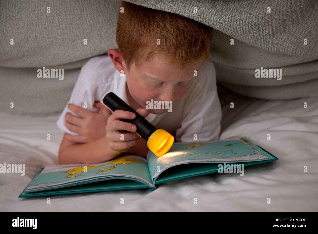 little boy reading with a flashlight under the covers Stock Photo - Alamy