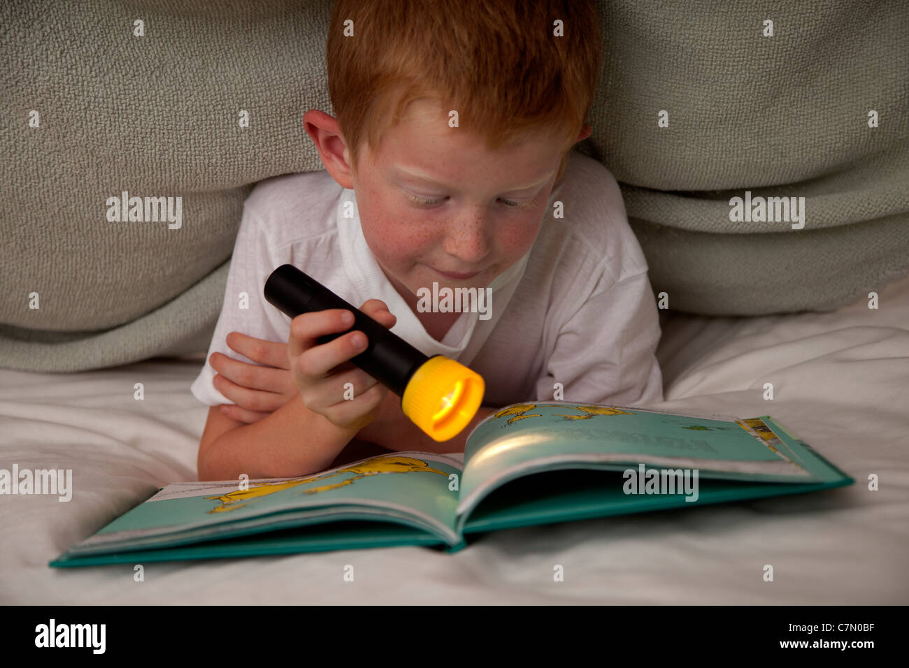 little boy reading with a flashlight under the covers Stock Photo - Alamy