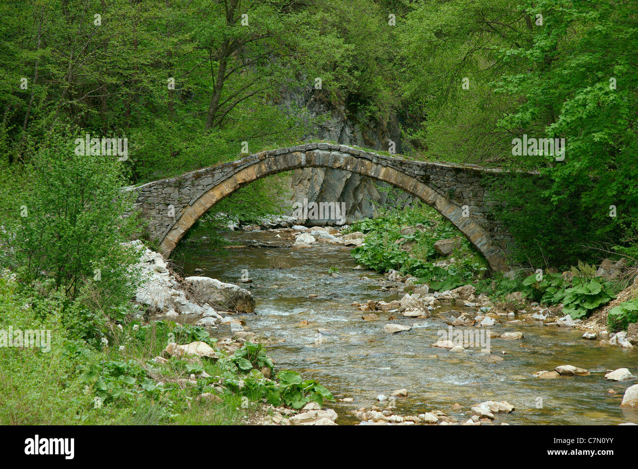 Old Roman bridge in the mountain Rodopi, Bulgaria Stock Photo - Alamy