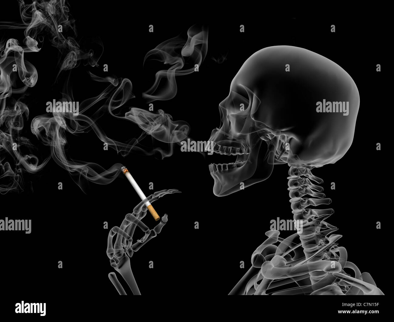 Skeleton Smoking Tumblr
