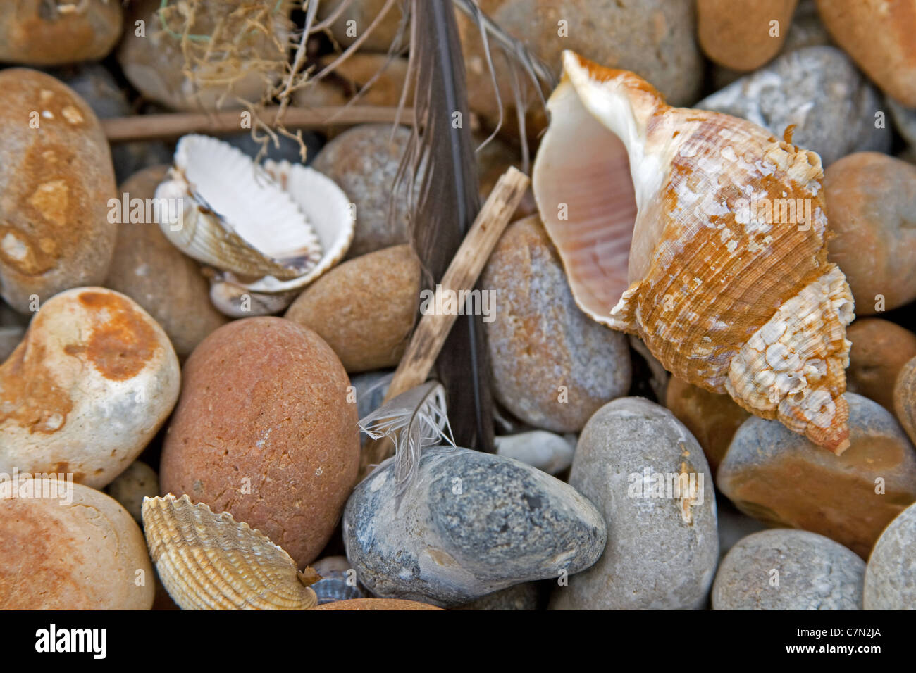 Pebble Beach Waterline Stock Photo - Alamy