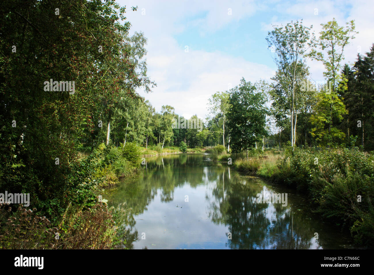 Corringham hi-res stock photography and images - Alamy