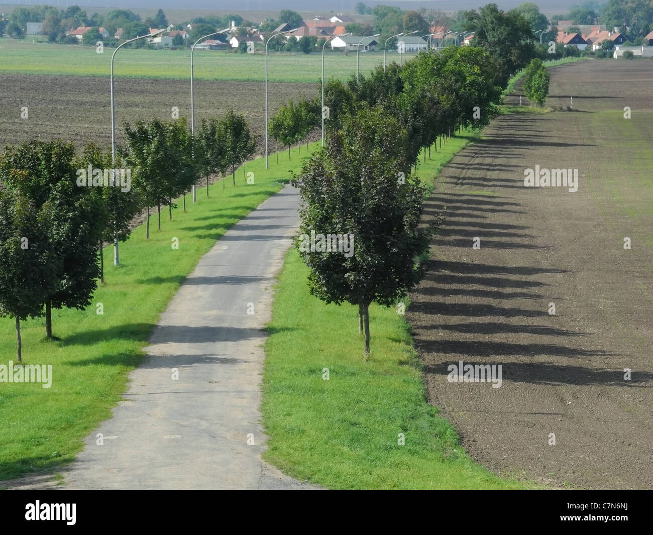 path with tree Stock Photo - Alamy