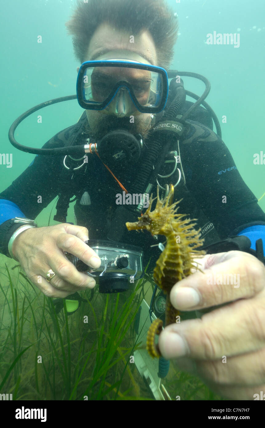 -Neil Garrick-Maidment form the Seahorse Trust tagging the Spiny ...