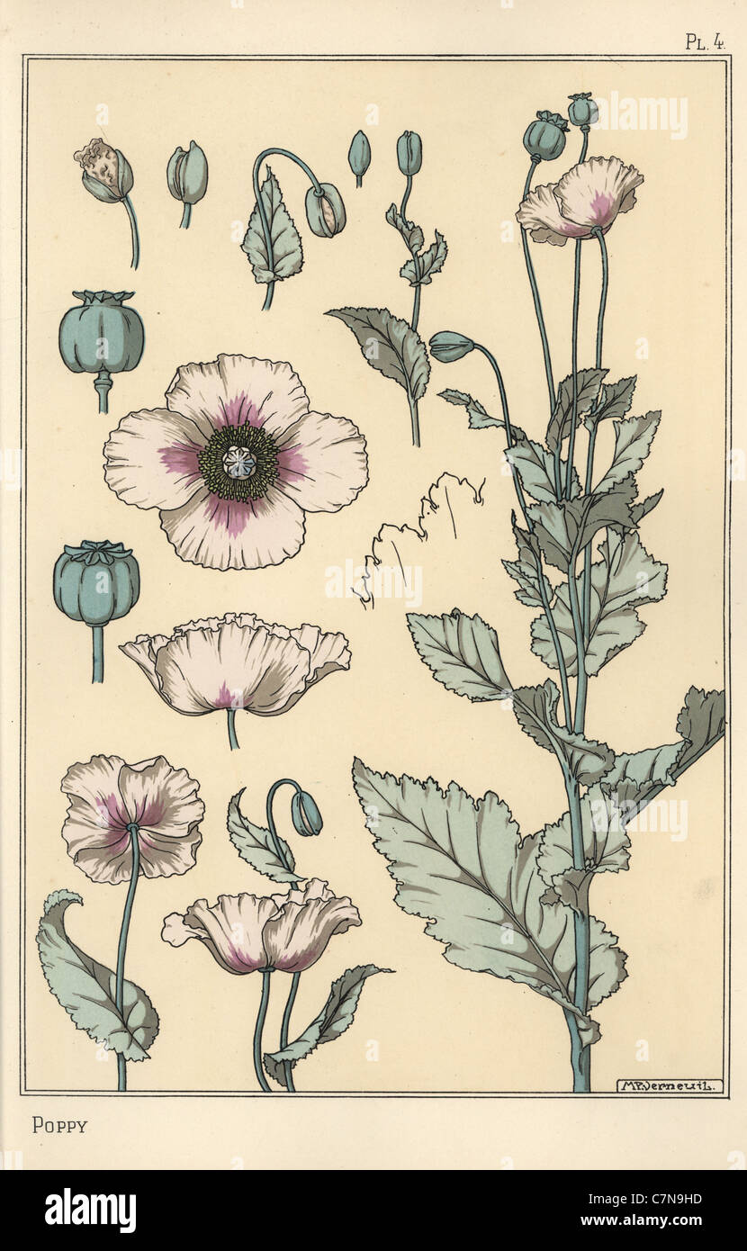 Raising Opium