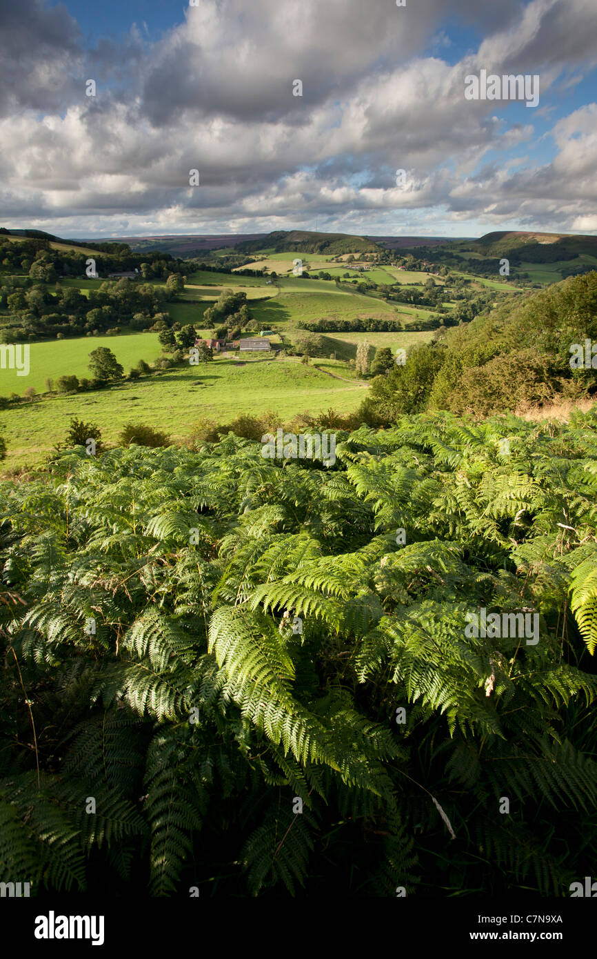 Daletown hi-res stock photography and images - Alamy