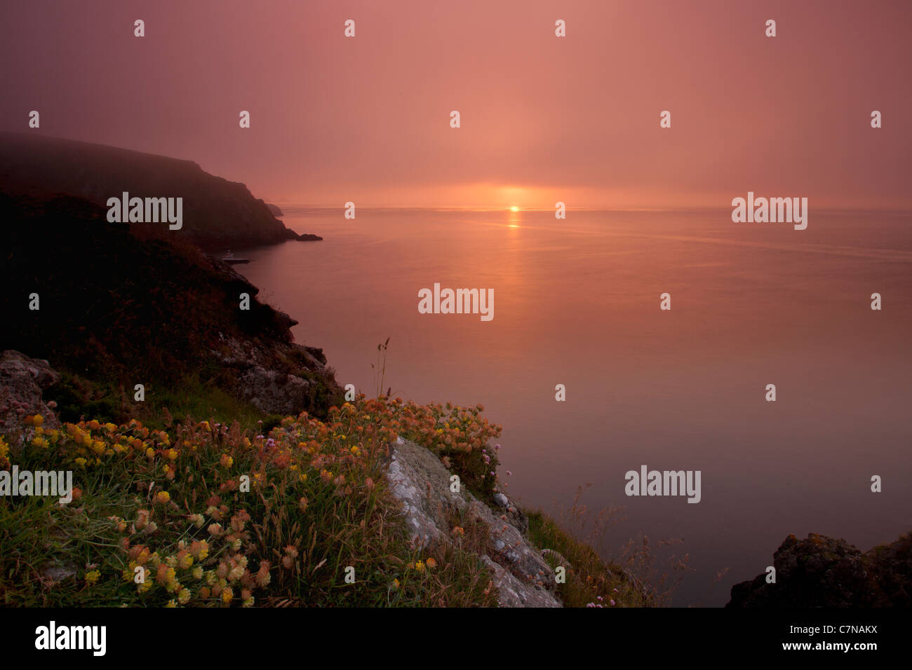 Misty sunset view of cliffs and flowers Stock Photo - Alamy