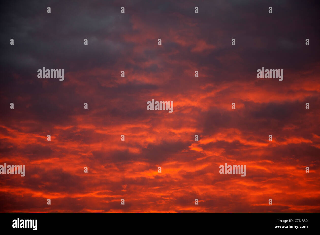 Red Sky At Night Shepherds Delight