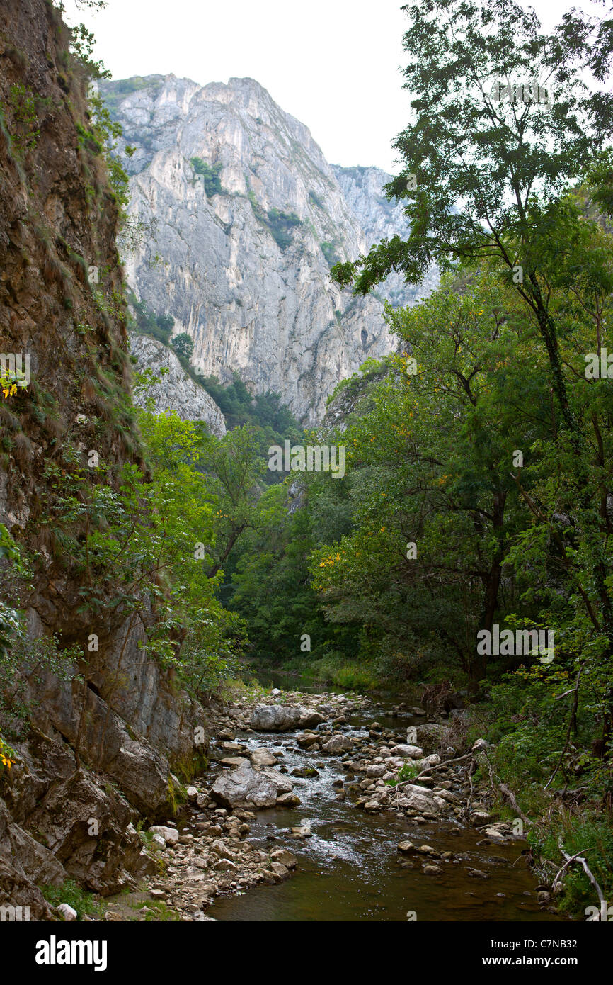 Turda gorge natural reserve hi-res stock photography and images - Alamy