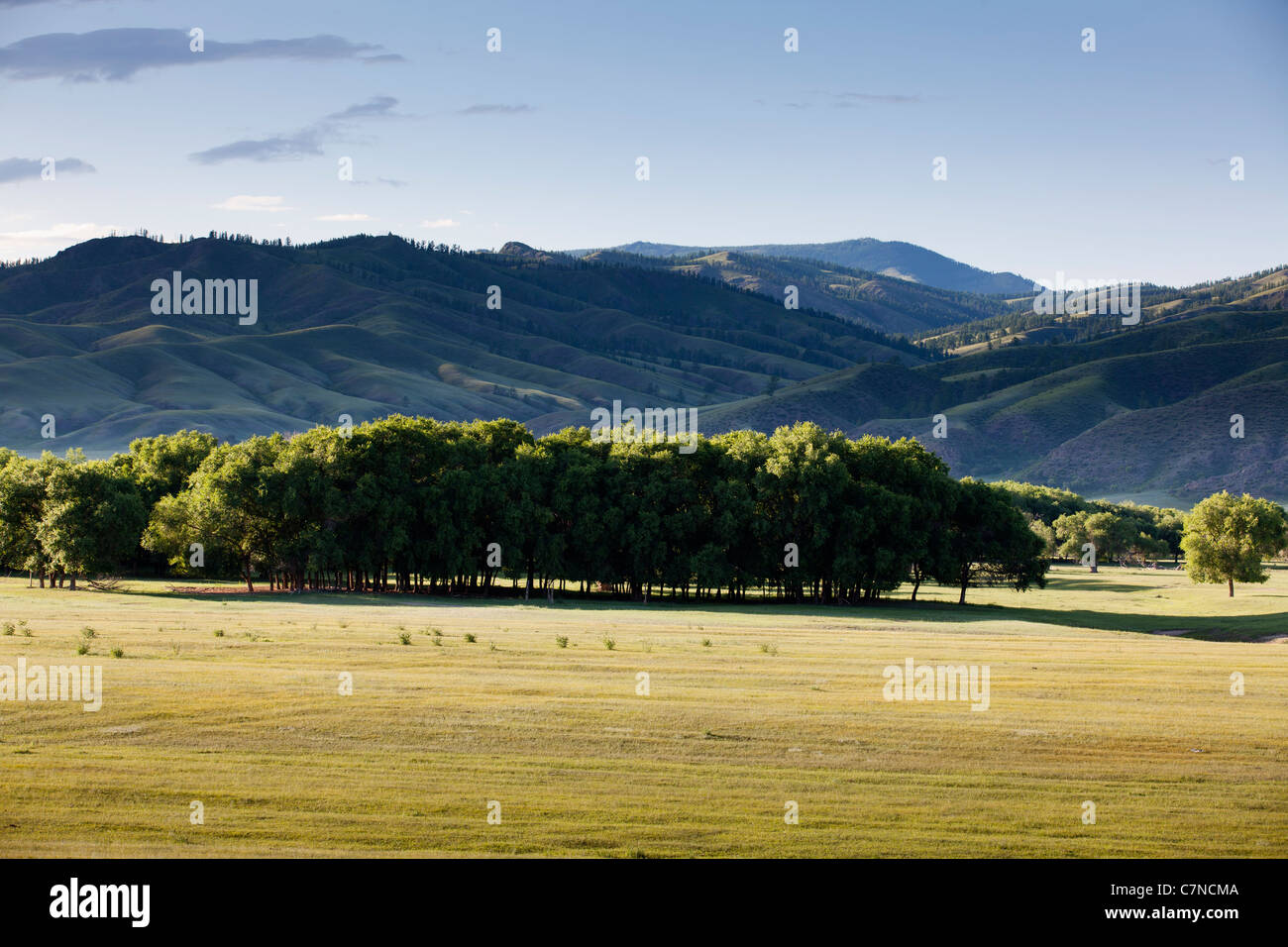 Selenge river hi-res stock photography and images - Alamy