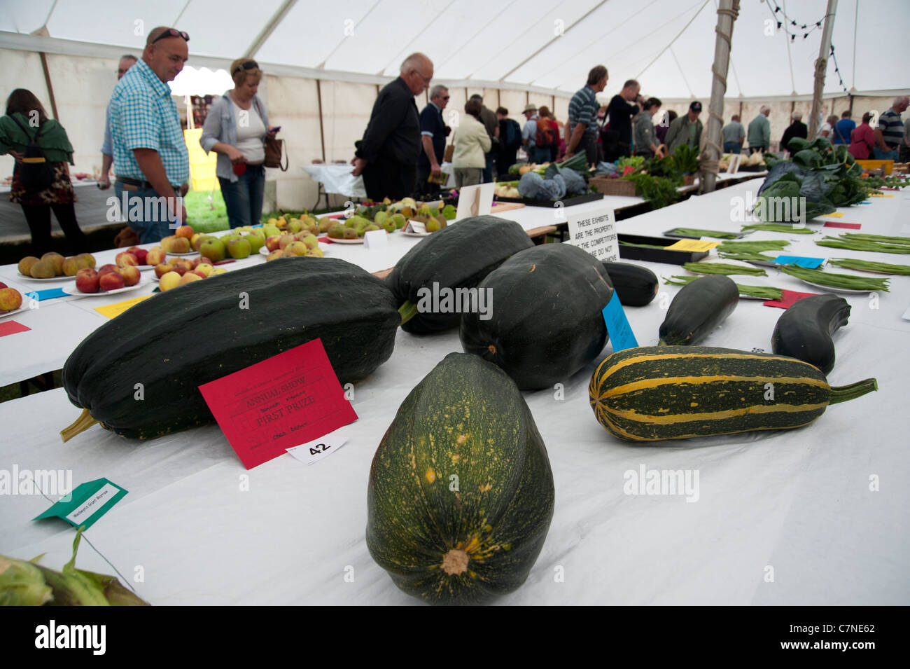 Marrows - Produce on display - biggest marrow competition at an ...