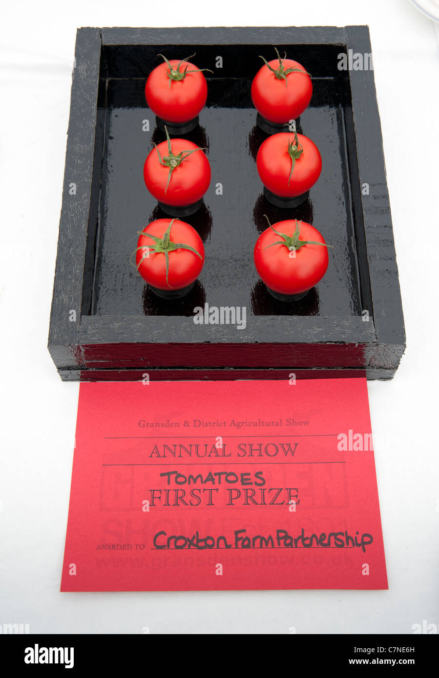 Tomatoes Produce on display at an agricultural show at Gransden ...