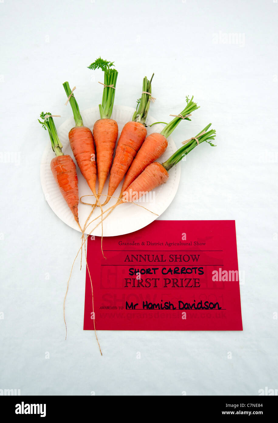 Winning carrots -Produce on display at an agricultural show at Gransden ...