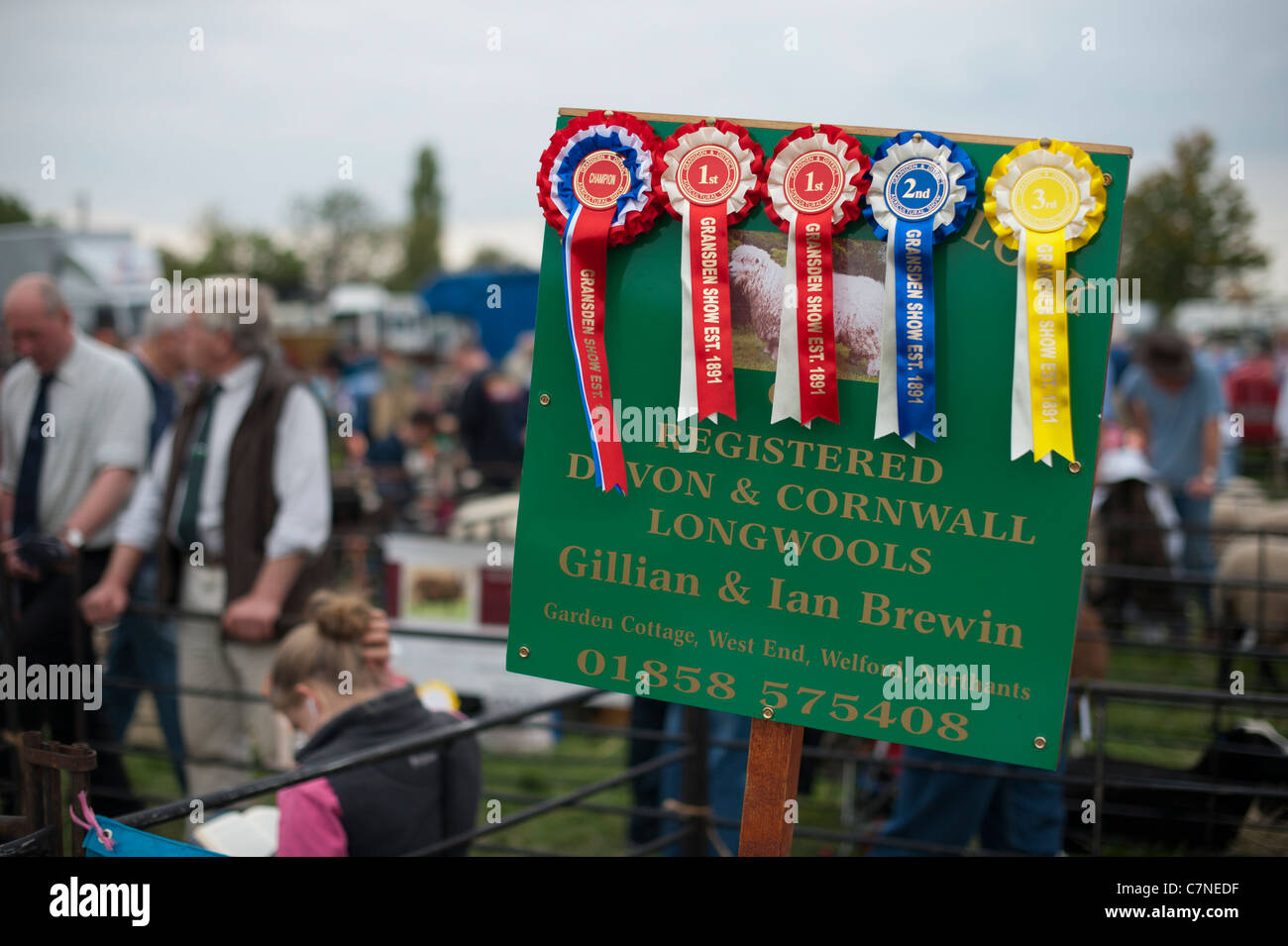 Rosettes on display from the winners of livestock competitions at ...