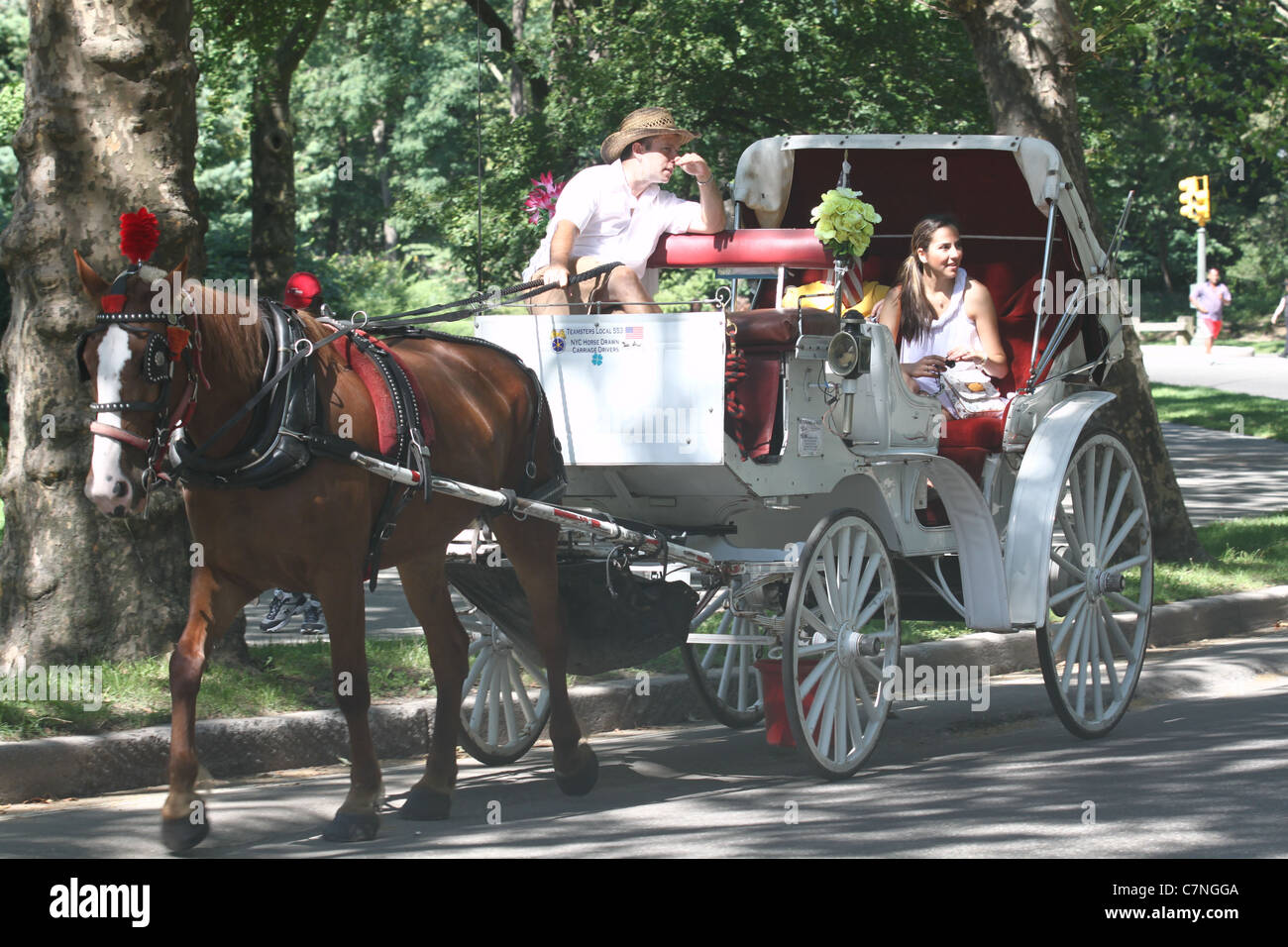 Park ride horse and cart hi-res stock photography and images - Alamy