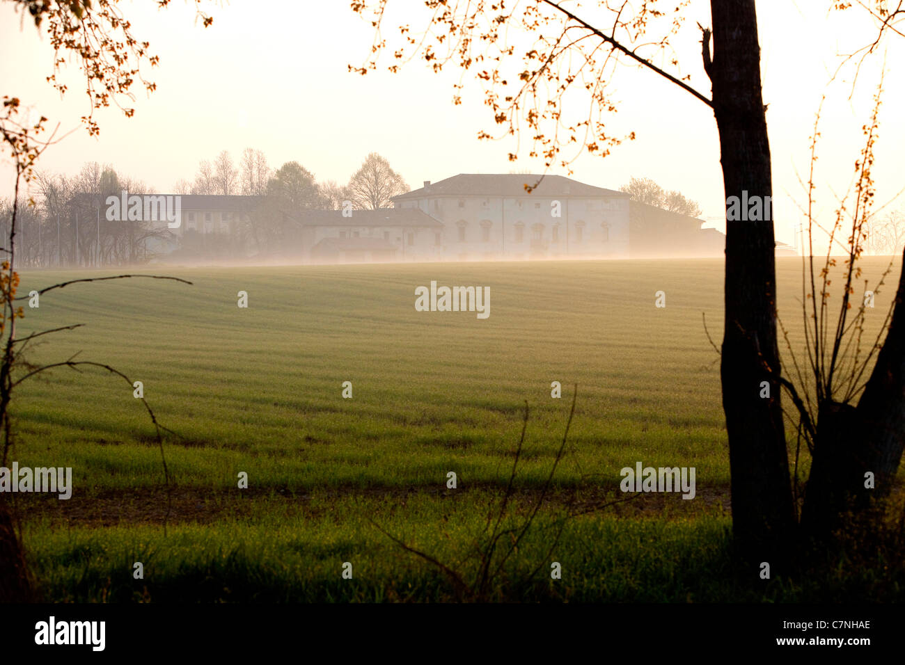 Farm, fields, Italian countryside and natural landscape near Curtatone ...
