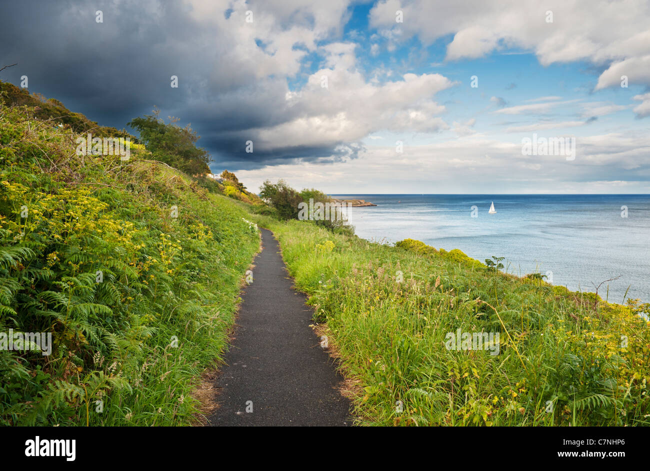 View from the footpath on the cliffs above Killiney Bay, Killiney ...