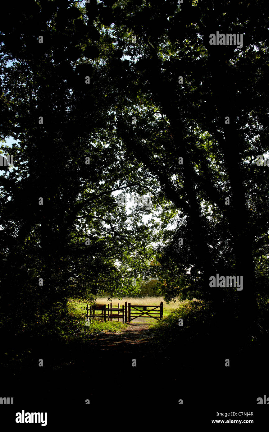 Six bar gate and wheelchair access Stock Photo - Alamy