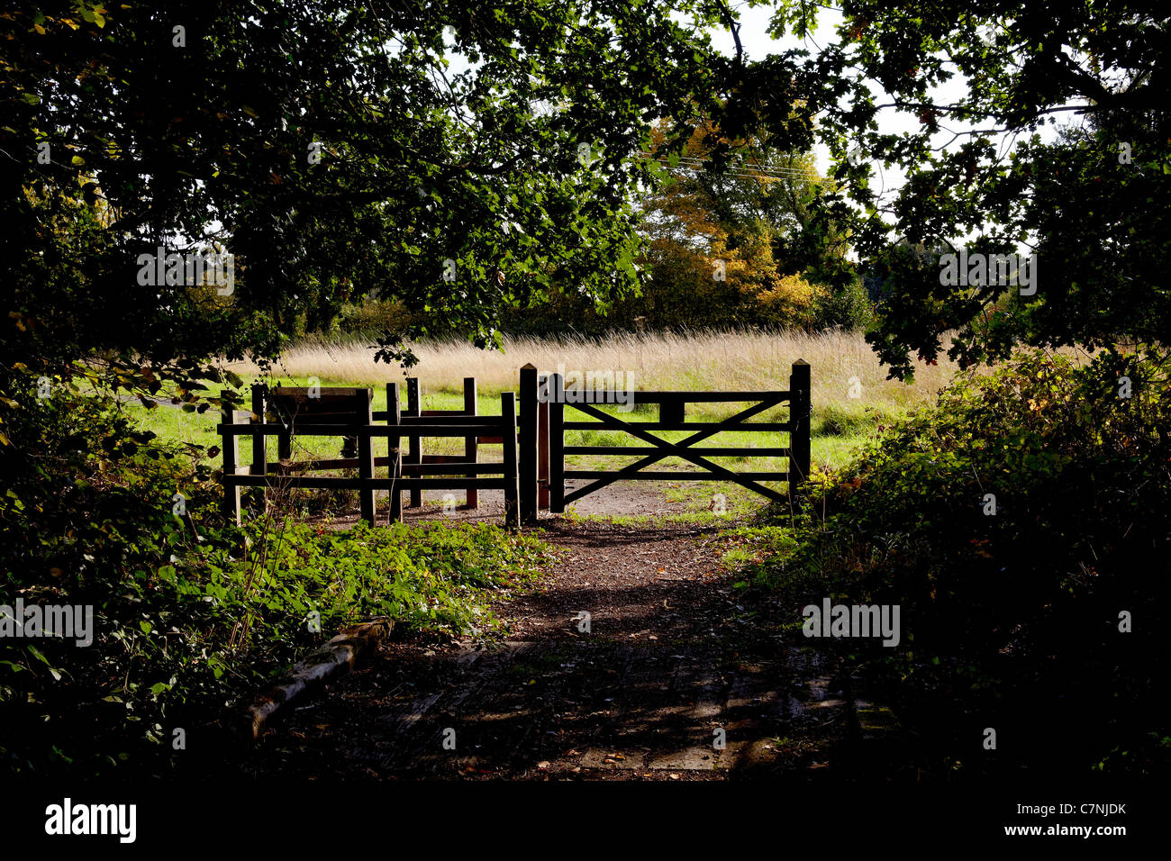 Six bar gate and wheelchair access Stock Photo - Alamy