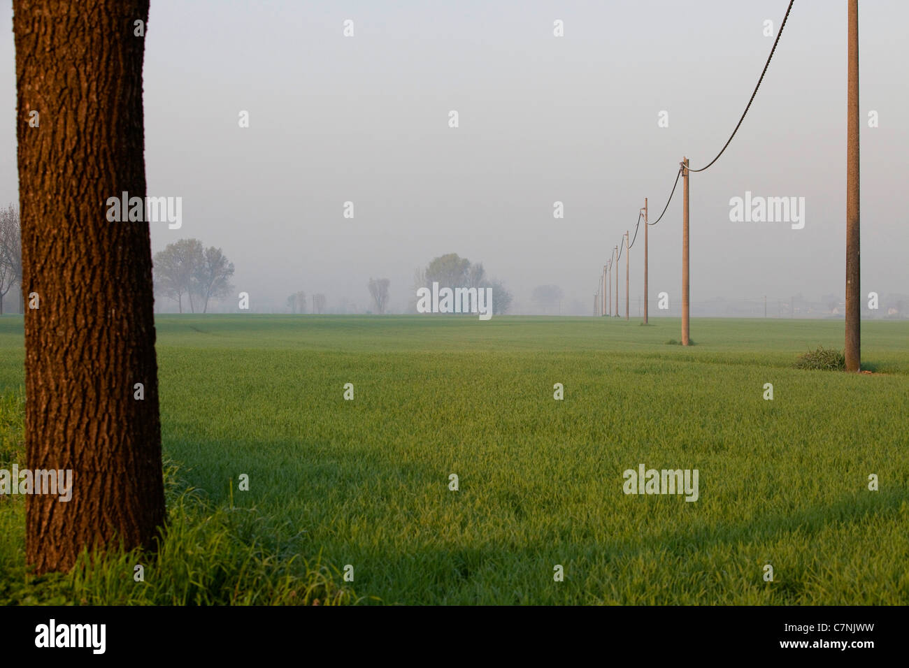 Electricity power line in Italian countryside and natural landscape ...