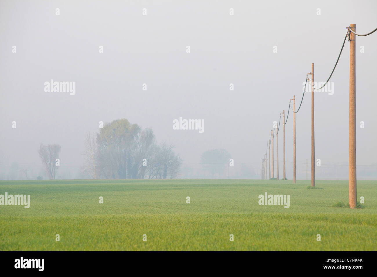 Electricity power line in Italian countryside and natural landscape ...
