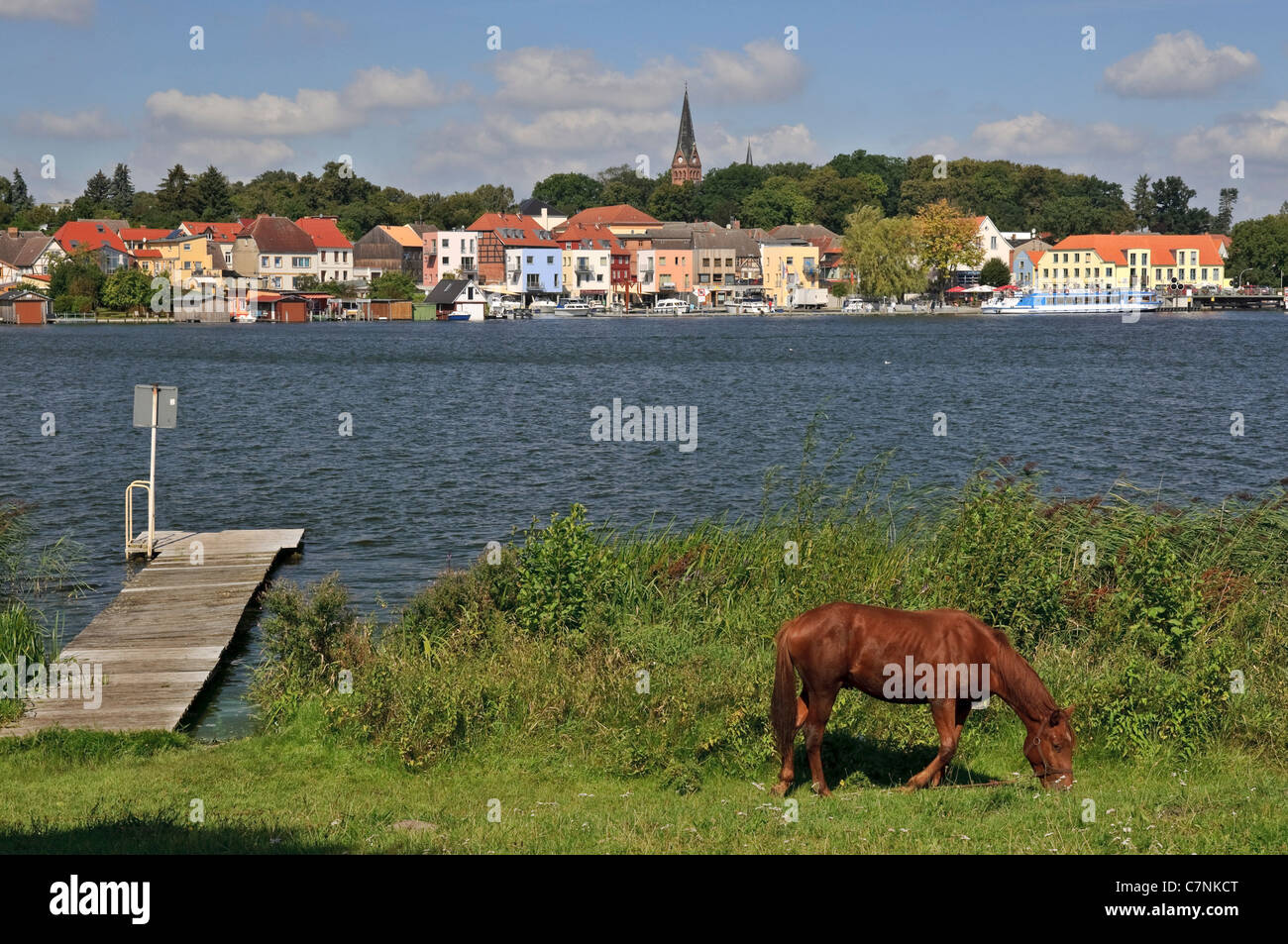 Malchow hi-res stock photography and images - Alamy