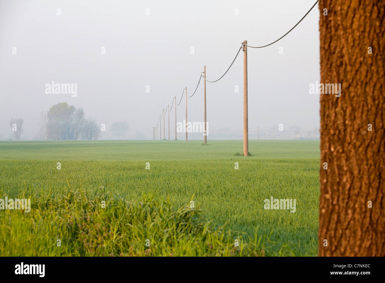Power grove hi-res stock photography and images - Alamy